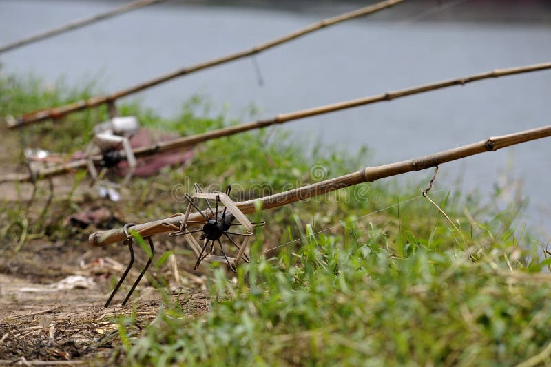 Free Clip Art Year Horse Stock Photos - Free & Royalty-Free Stock ...