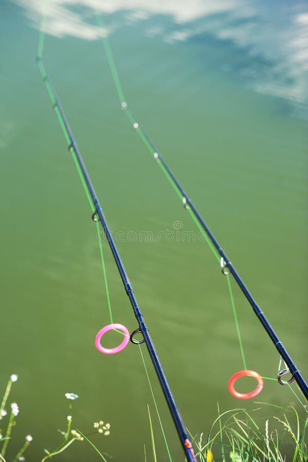 Fishing rods stock photo. Image of lifestyle, peace, sunny - 25120648