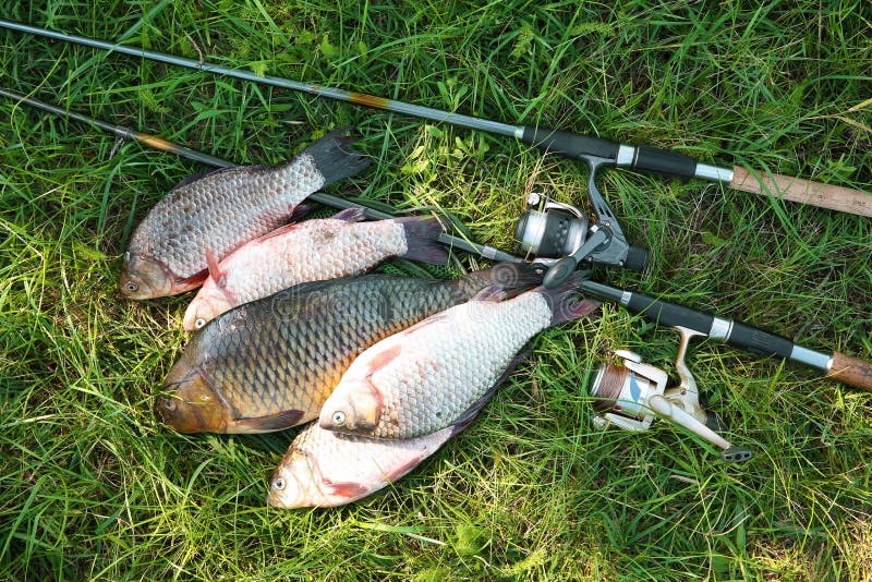 Modern Fishing Rod with Reel Stock Image - Image of pole, bobbin: 129226551