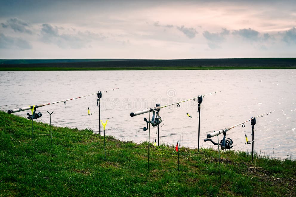 Fishing Rods on the Grass at the Edge of the River Stock Photo - Image ...