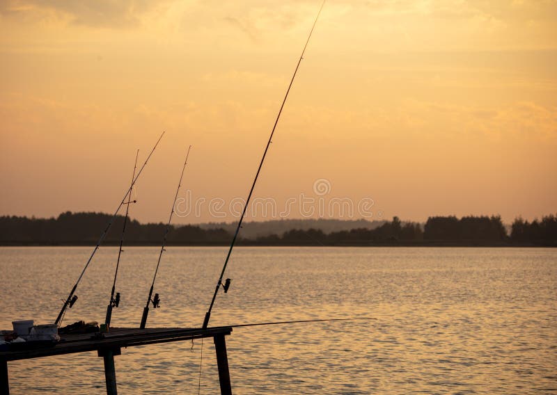 Fishing Rods on the Lake at Sunset. Stock Photo - Image of male, nature ...