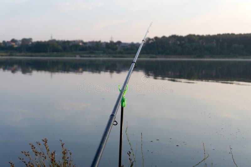 Fishing Rods with Reels on a Support System Rod Pod. Carp Fishing Rods ...