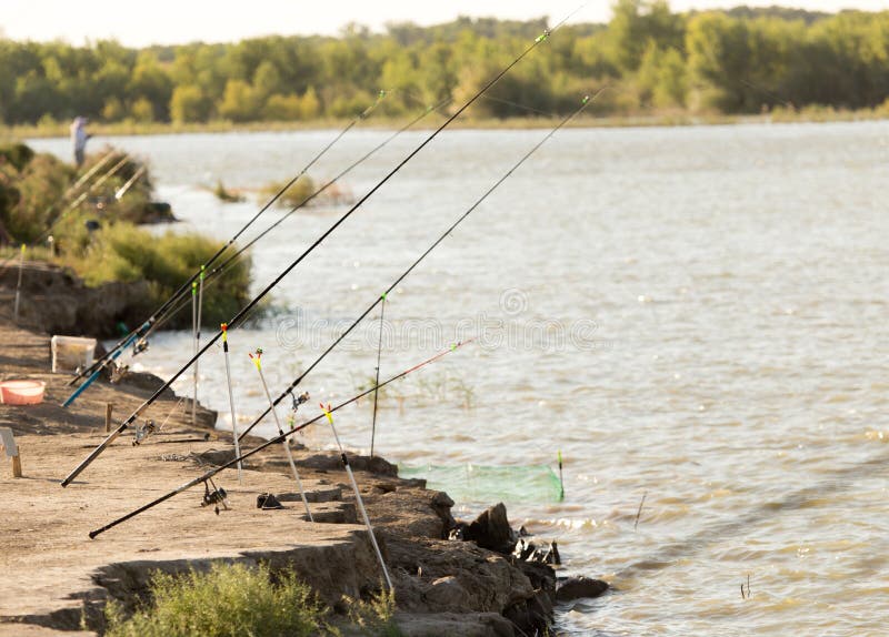 Fishing Rods on the River Bank in Nature Stock Photo - Image of closeup ...