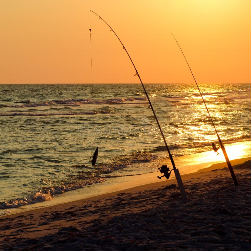 Fishing Rods Set Up on Beach Stock Photo - Image of beach, lifestyle ...