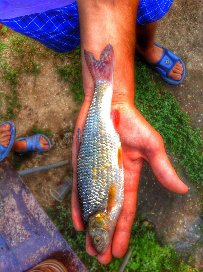 Fishing in romania stock photo. Image of lovly, nice - 50553544