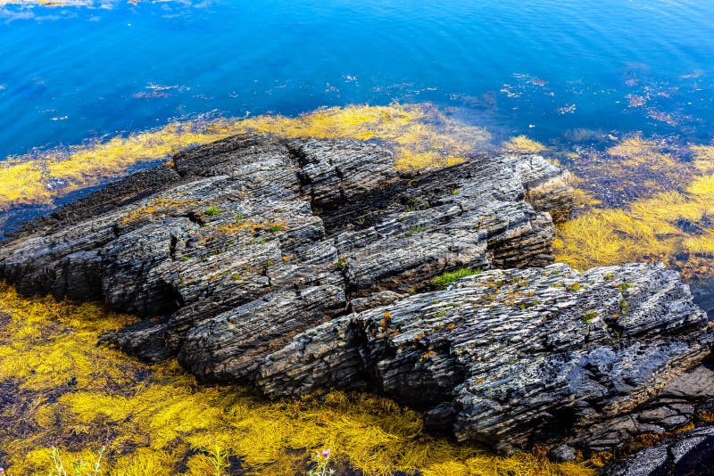 Blue Rocks, Lunenburg, Nova Scotia, Canada Stock Image - Image of ...