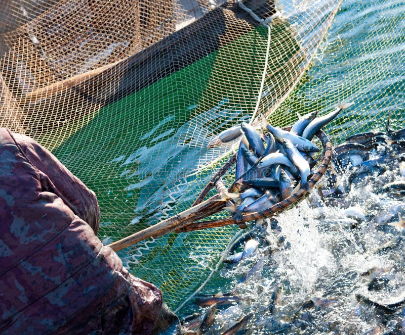 Fishing with scoop stock image. Image of commercial, lake - 74785563