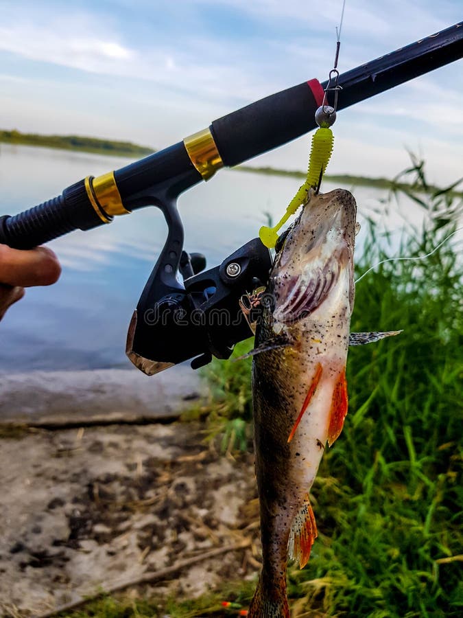 Fishing Spinning on the River Stock Image - Image of male, fisherman ...