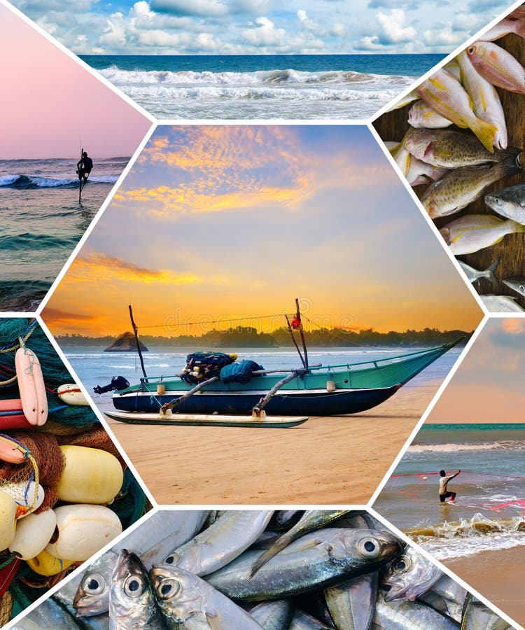 Fishing in Sri Lanka. Collage Stock Image - Image of horizon, local ...
