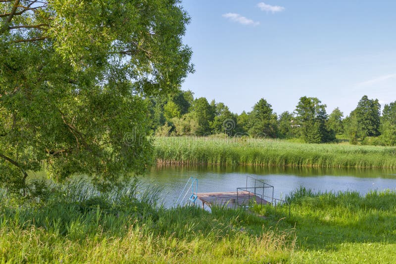 Fishing and Swimming Place on River Ros Stock Photo - Image of reed ...