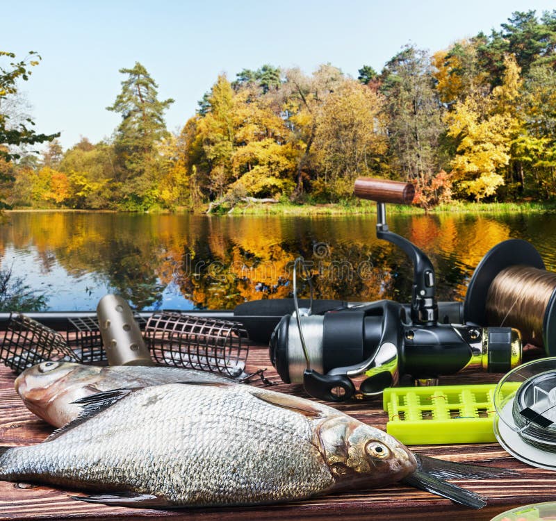 Fishing Tackle and Caught Fish Stock Image - Image of equipment ...