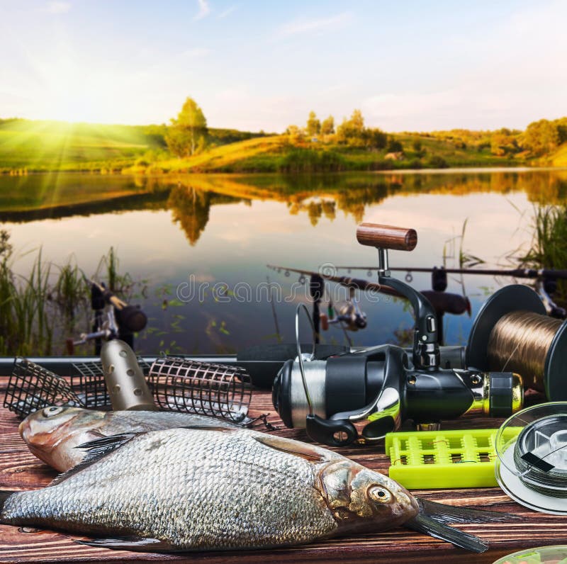 Fishing Tackle and Caught Fish on the Table Stock Photo - Image of ...
