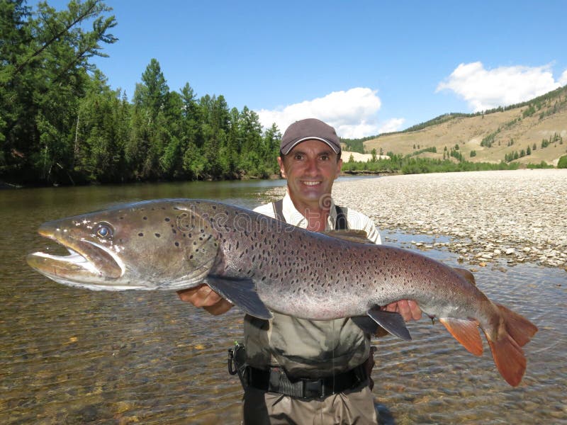 Fly fishing stock photo. Image of bait, alaska, early - 15537562