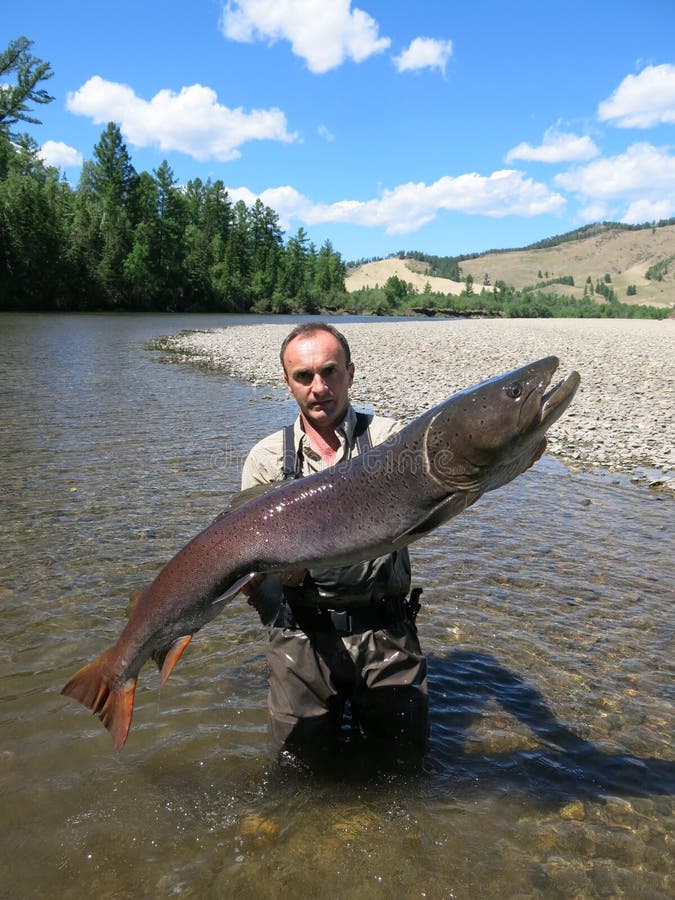 Fly Fishing Lures - Flies with Fisherman Stock Image - Image of detail ...