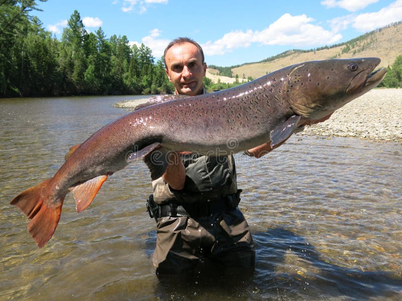 Fly Fishing Lures - Flies with Fisherman Stock Image - Image of detail ...