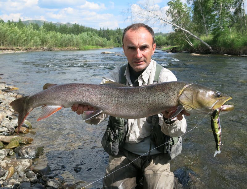 Taimen fly fishing stock photo. Image of predator, food - 7535404