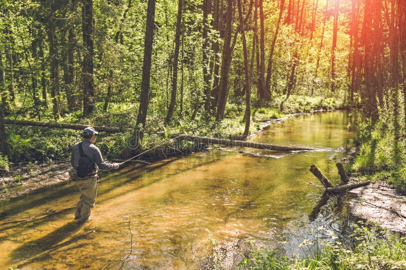 Fishing with Tenkara on a Small Creek. Flyfishing Stock Photo - Image ...