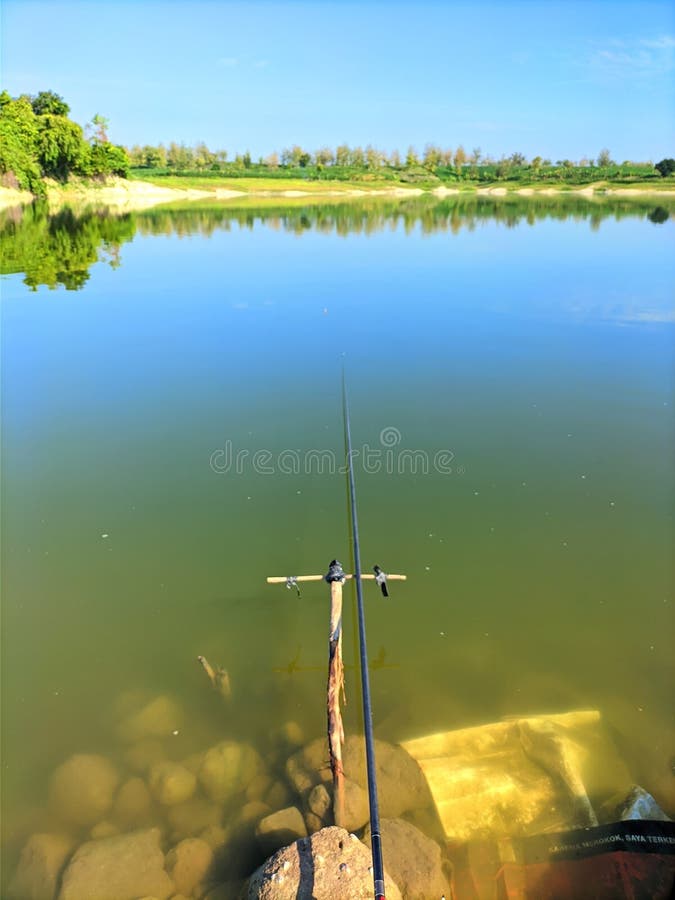 Fishing Tilapia Fish in the Beautiful Lake Stock Photo - Image of ...