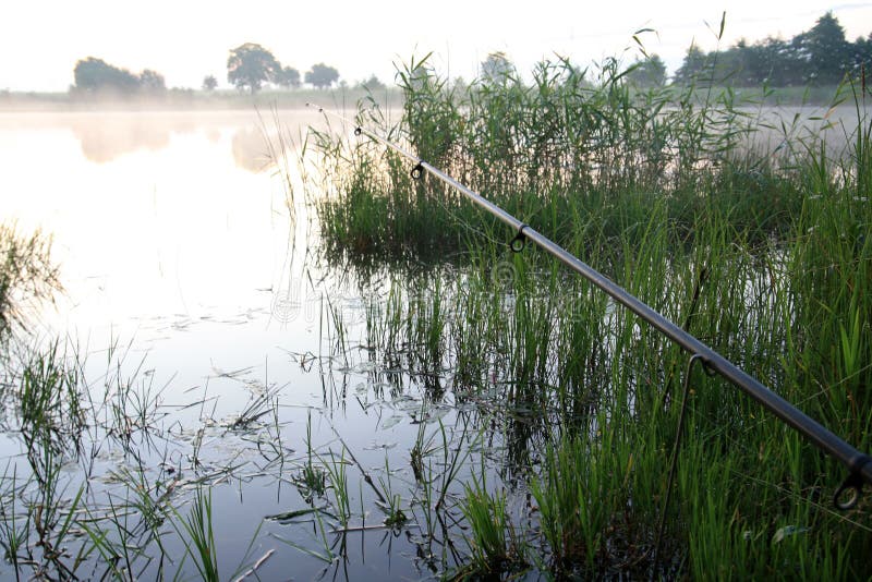 Fishing time.. stock photo. Image of fish, pursuit, bait - 2379878