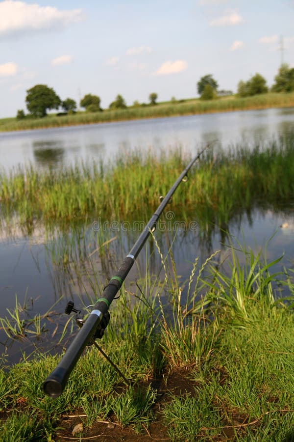 Fishing time.. stock photo. Image of recreational, fish - 4146636