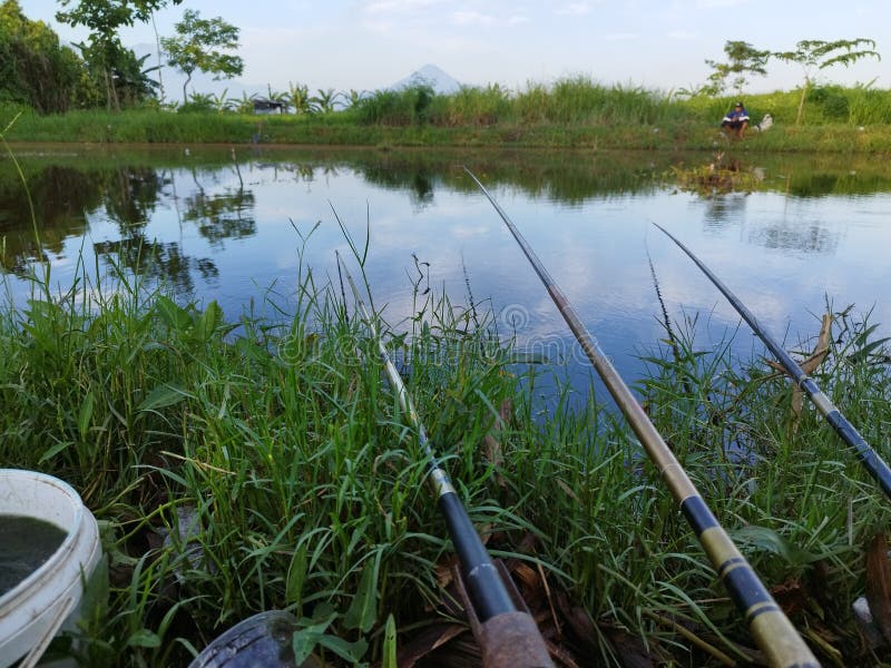 Fishing Time in the Morning Stock Image - Image of reflection, bayou ...