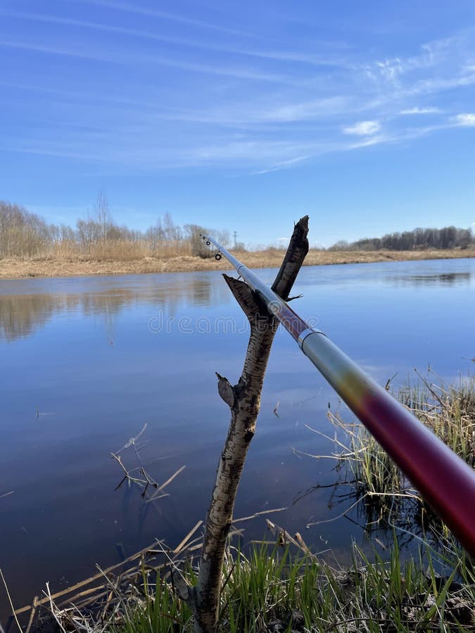 Fishing time stock photo. Image of tree, reflection - 246240932