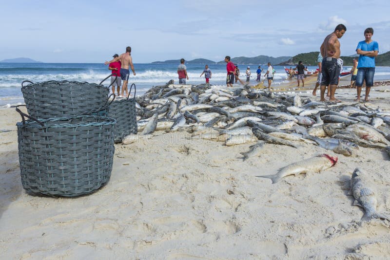 Fishing time editorial photography. Image of clouds, fish - 92696852