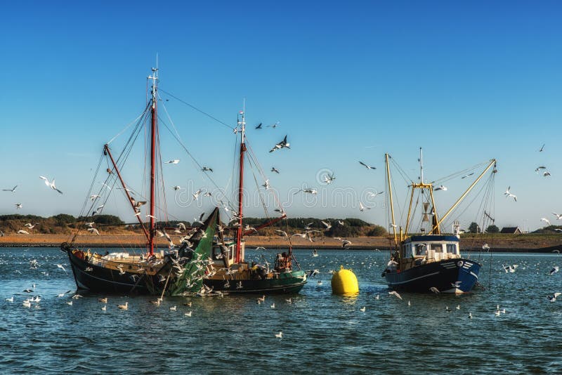 Fishing trawlers at work stock image. Image of aquatic - 81910481