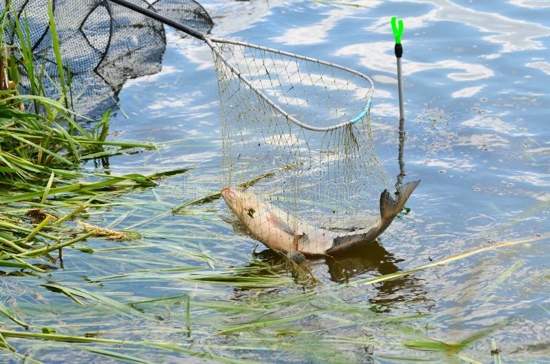 Fish Net stock image. Image of activity, ocean, angler - 13932679