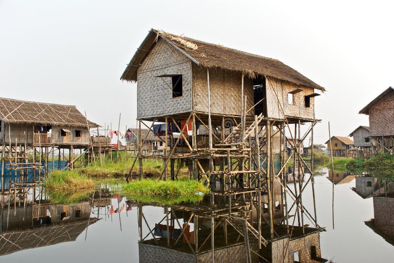 Land Diving Ceremony editorial stock photo. Image of ceremonial - 19932333