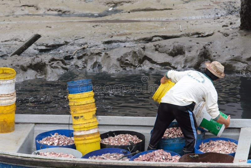 Fishing Village Work Life, Culture Editorial Photography - Image of ...