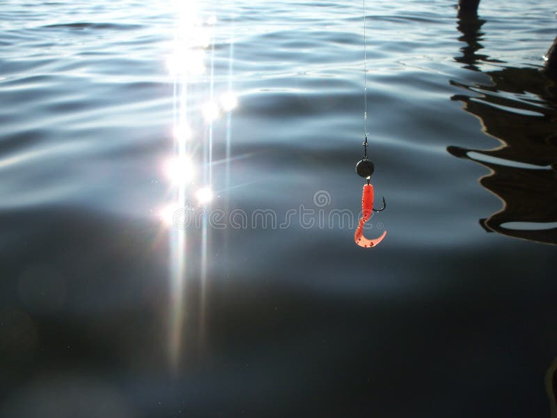 Fishing stock image. Image of fish, hook, fishing, water - 161336029