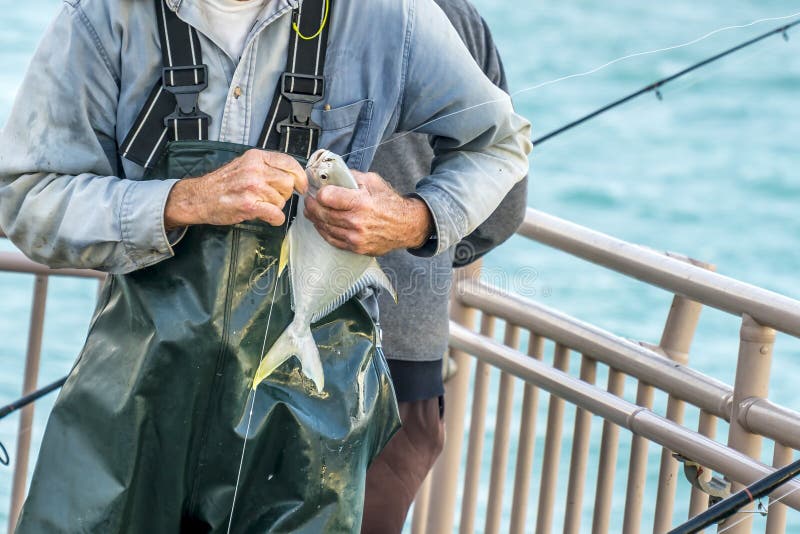 Catch of the day stock photo. Image of nature, pole - 168413368