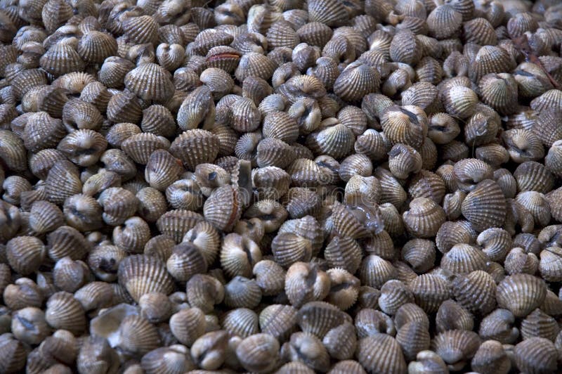 Ripples in the sand stock image. Image of pink, arid, ripples - 1634161