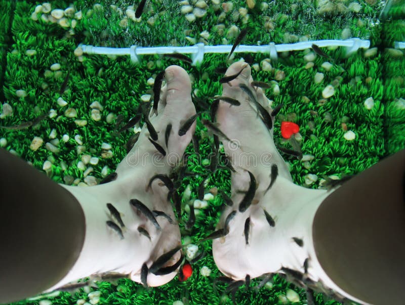 Fishmassage2 stock photo. Image of healthcare, healthy - 24980480