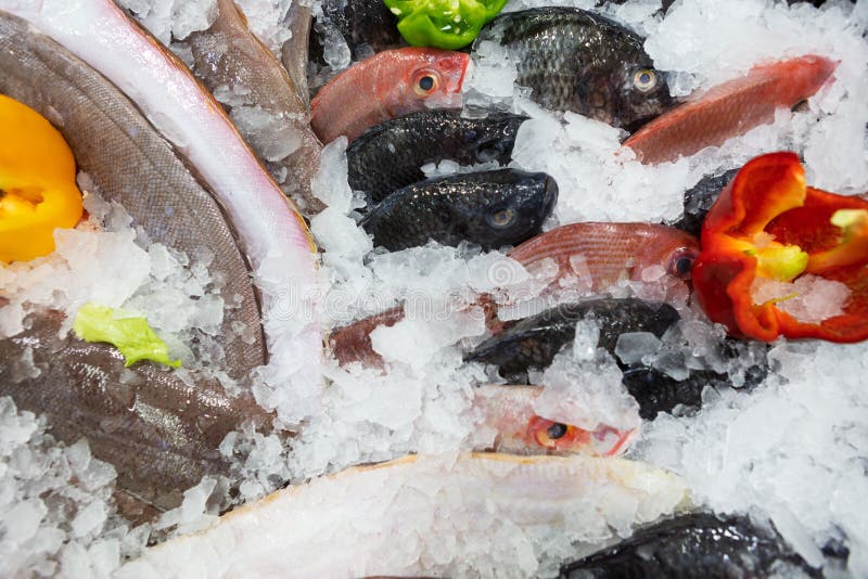 Fishmonger Shelf in Supermarket with Fresh Fish Stock Photo - Image of ...
