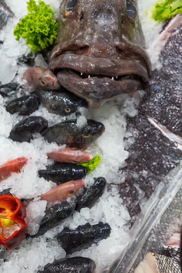 438 Old Fishmonger Stock Photos - Free & Royalty-Free Stock Photos from ...