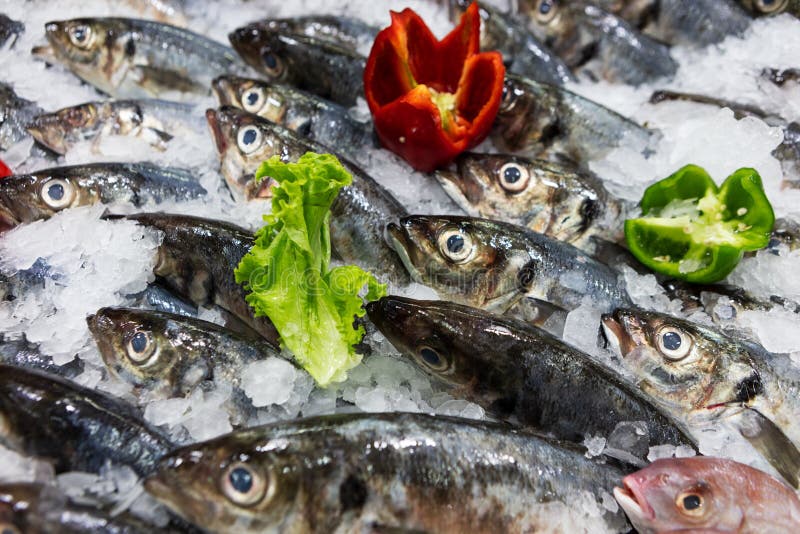 Fishmonger Shelf in Supermarket with Fresh Fish Stock Image - Image of ...