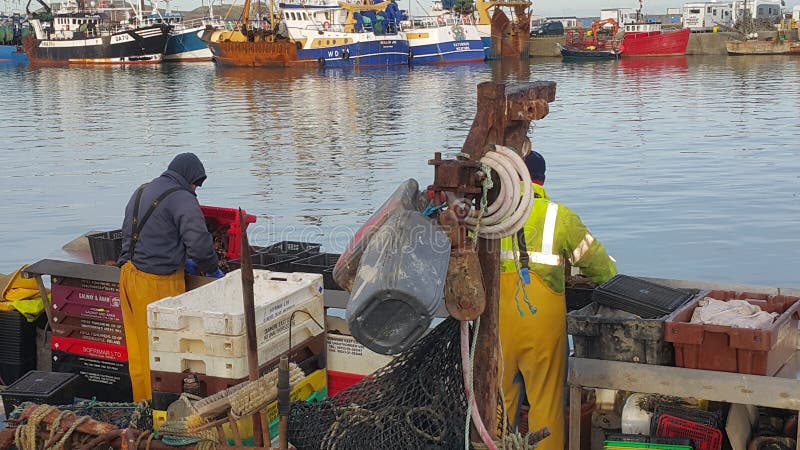 Fishmonger at work editorial photography. Image of howth - 82891942