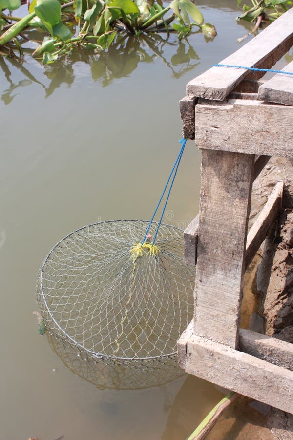 Fishnet stock image. Image of fish, entangled, netting - 24861333