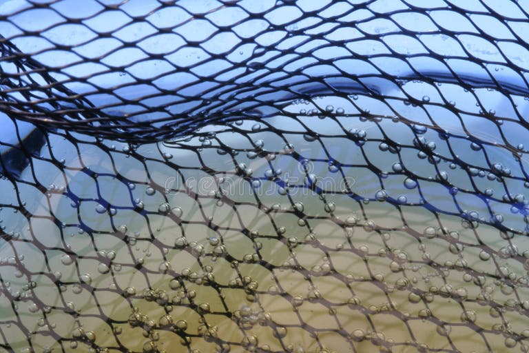 5,902 Fishnet Texture Stock Photos - Free & Royalty-Free Stock Photos ...