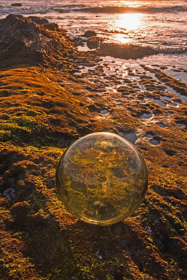 Fishnet Ball on the Rocks at La Jolla Stock Image - Image of natural ...