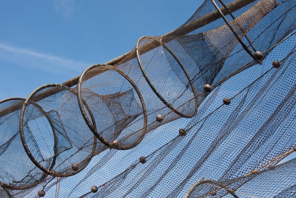 Fishnet Drying in the Sun Against the Blue Sky Stock Image - Image of ...