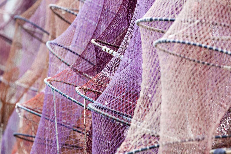 Fishnets stock photo. Image of fish, northern, trap, fishery - 60189936