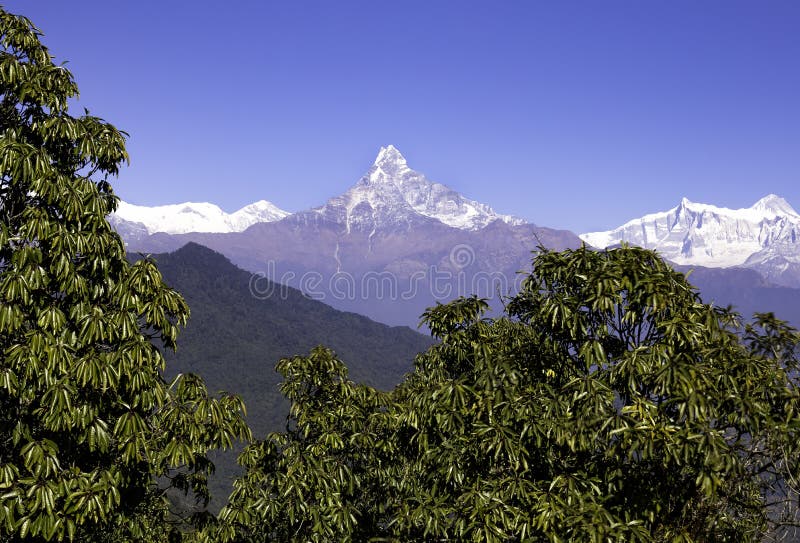 FISHTAIL MOUNTAIN VIEW from AUSTRALIAN BASE CAMP Stock Image - Image of ...