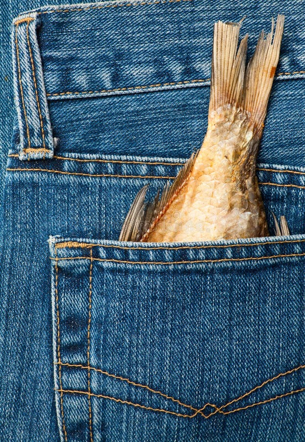 Fishtail in a pocket stock image. Image of back, concepts - 15214749