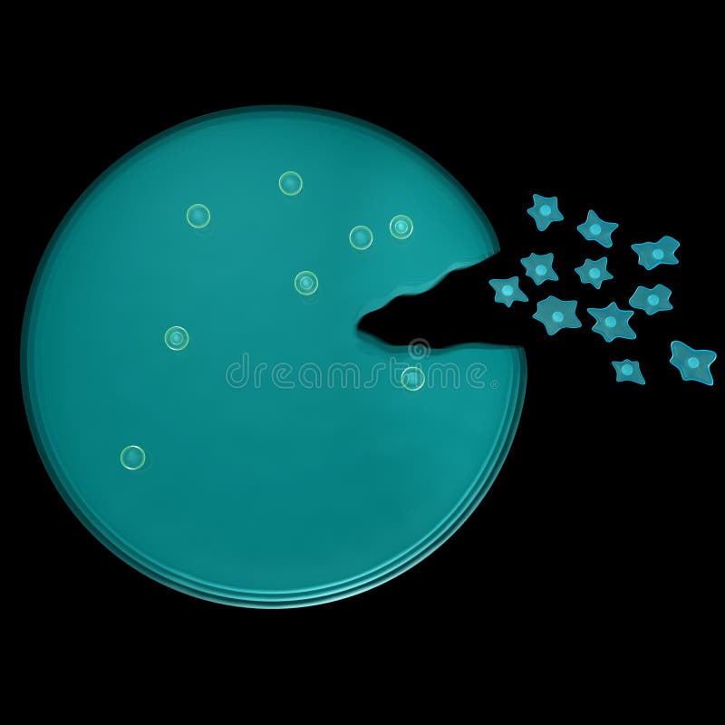 Fisión múltiple foto de archivo. Imagen de celular, célula - 44728796