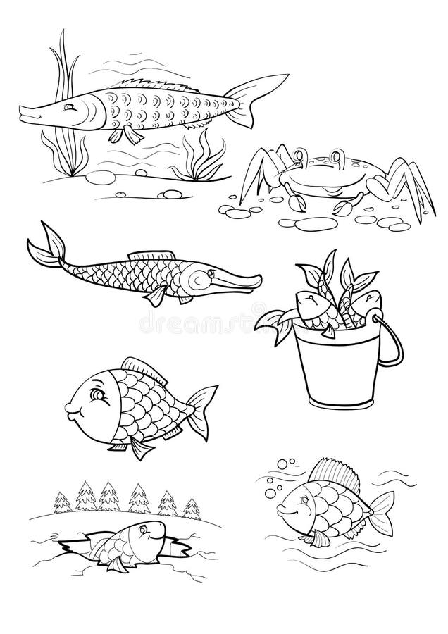 Ruffe Fisk Med Taggiga Fena Rov- Marin- Djur Havsvarelse Undervattens ...