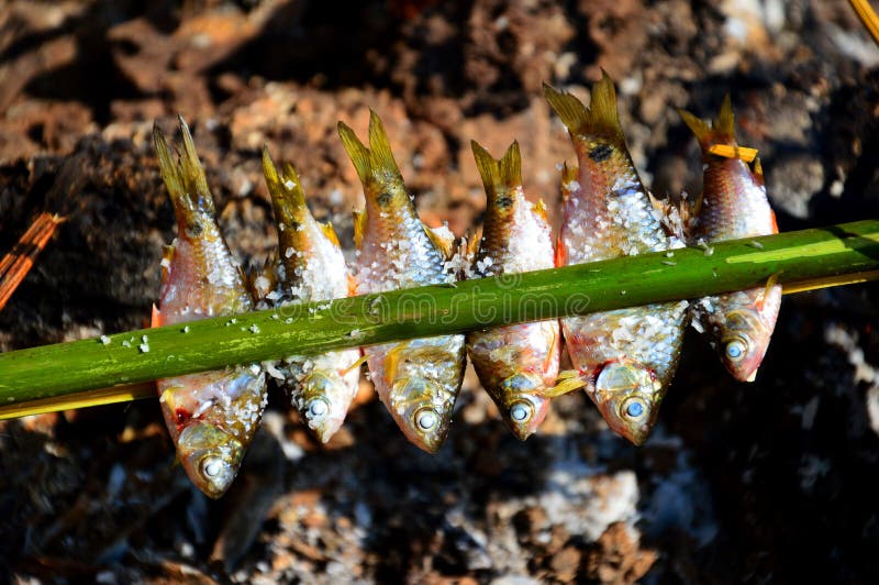 Fisk mat arkivfoto. Bild av gör, faktisk, lättnad, järnhand - 55777182