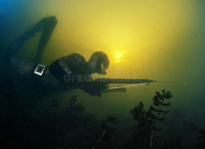 Fiskare fotografering för bildbyråer. Bild av spitted - 76616557